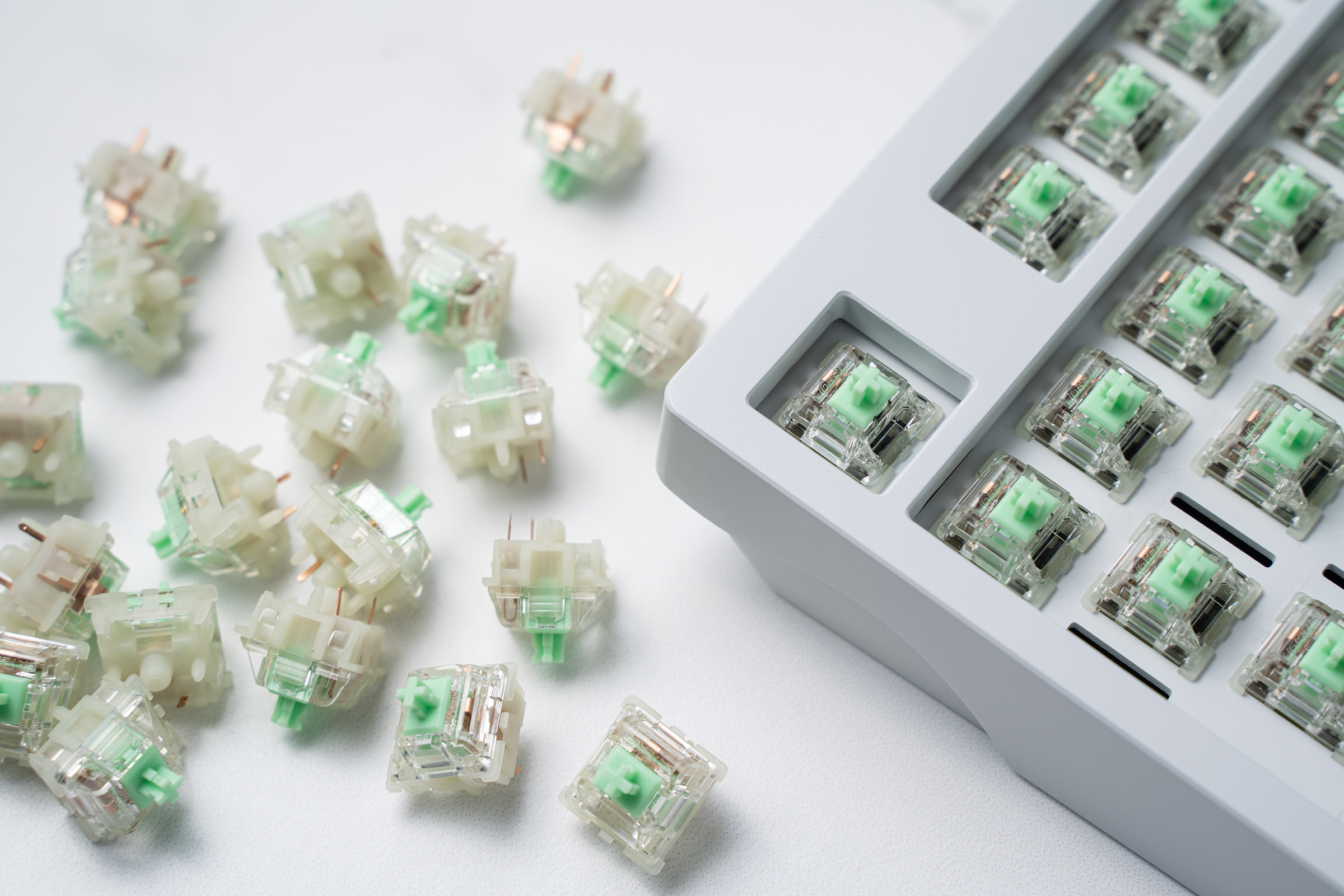 Gateron Baby Kangaroo 2.0 Tactile Switches | Custom Keeb